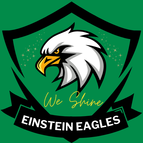 Einstein Elementary - Stories